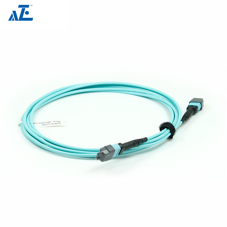 MTP Female 12 Fibers Type B Plenum (OFNP) OM3 50/125 Multimode Elite ...